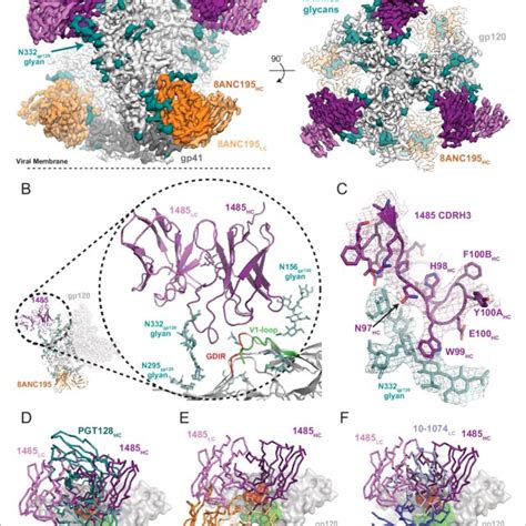cryo em reconstruction of the ab1485 bg505 complex reveals a distinct download scientific