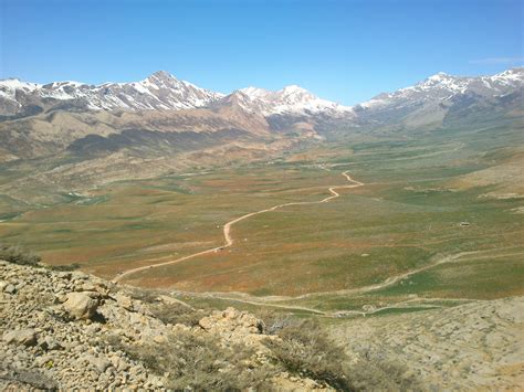 دشت لاله واژگون کوهرنگ