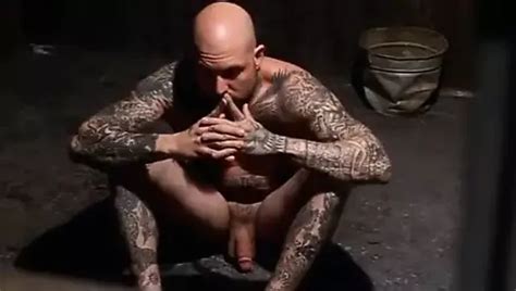 Free Male Celebrities Gay Porn Videos XHamster