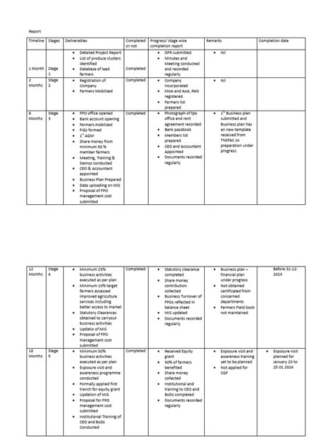 Deliverables Pdf Audit Business Economics