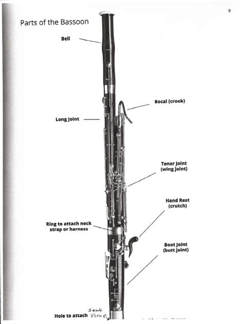 Bassoon Care And Assembly Guide Pdf Bassoon Woodwind Instruments
