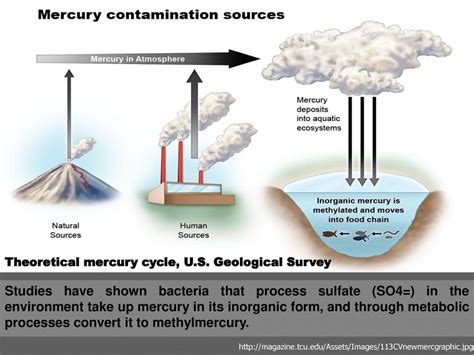 Mercury Challenges To Global Health Ppt Download