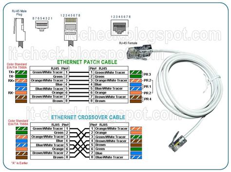 Ethernet Plug Wiring Diagram Printable Coloring Free