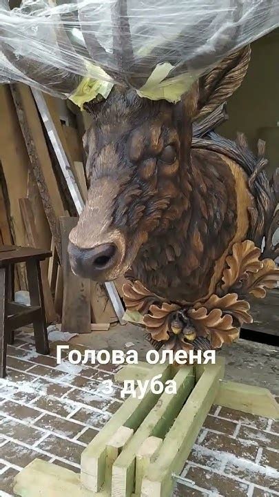 голова оленя з дуба роги натуральні Youtube
