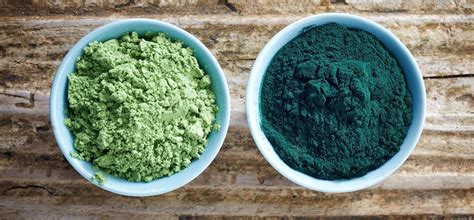 Chlorella Vs Spirulina What Are Their Benefits And Which Is Better Hum Nutrition Blog