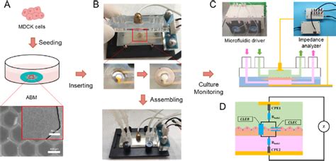 Overview Of The Method For On Chip Real Time Impedance Monitoring Of A Download Scientific