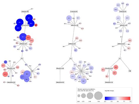 Network Visualization Of Dysregulated Lipids In Rcc Across All Three Download Scientific