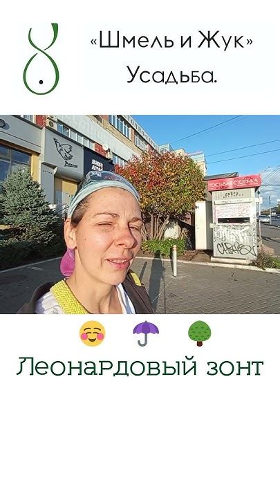 Клён обрезка Youtube