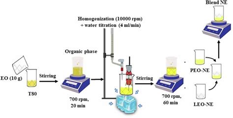 The Schematic Diagram Of Nes Preparation Download Scientific Diagram