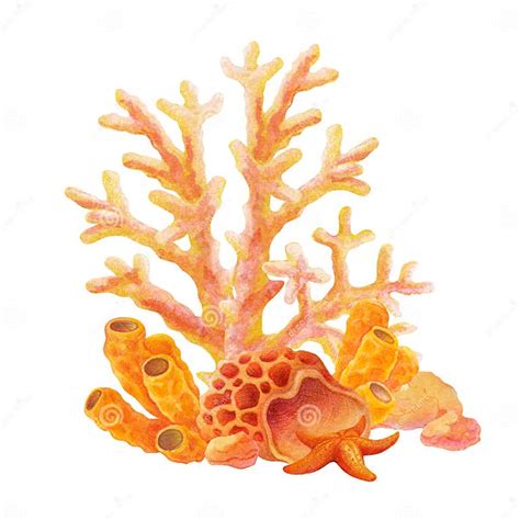 Underwater Simple Composition Isolated Watercolor Coral Reef With