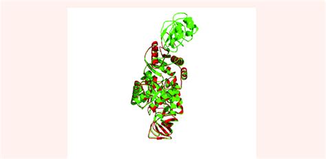 Pair Wise Secondary Structure Alignment Of Pyruvate Kinase Model With