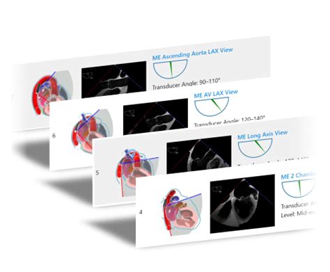 Mst Trainings — Medical Simulation Technologies
