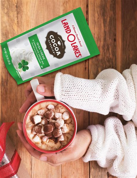 Hot Cocoa Classics Irish Creme And Chocolate Cocoa Mix 125 Oz Packet Pack Of 60