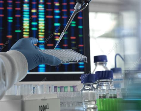 Dna Analysis Stock Image F036 4571 Science Photo Library