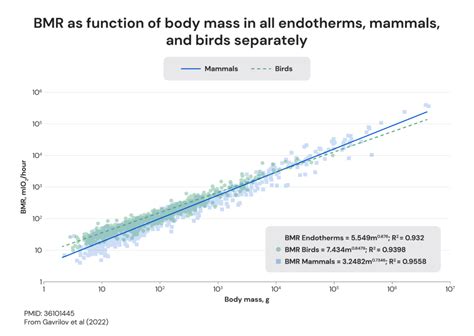What Are The Best Basal Metabolic Rate Equations Macrofactor
