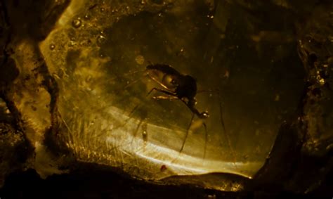 Immutable Linux Distros Are They Right For You Take The Test