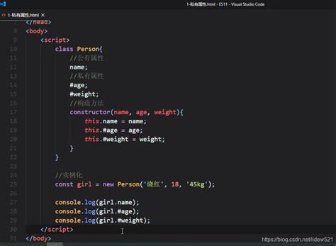 Es11新特性私有属性 Javascriptecmascriptes6 Es11新特性工作笔记061es私有属性 Csdn博客