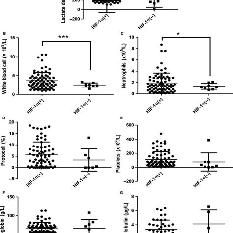 The Relationships Between Hif‐1α Expression In The Myeloid Tissues Of Download Scientific
