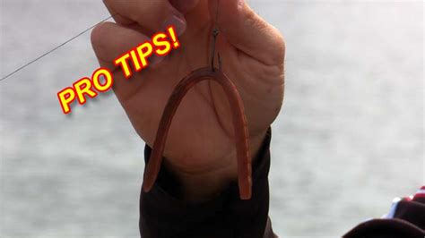 Spring Wacky Rig Worm Catch 10x More Bass Video The Ultimate