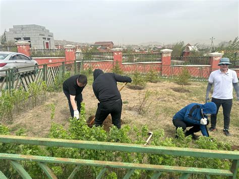 Баянзүрх дүүргийн Баянзүрх дүүргийн Татварын хэлтэс