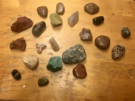 Brand New To Trying To Identify My Collection Did I Get Any Ragates