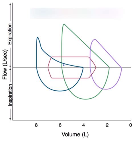 Loops Diagram Quizlet Loops Diagram Quizlet