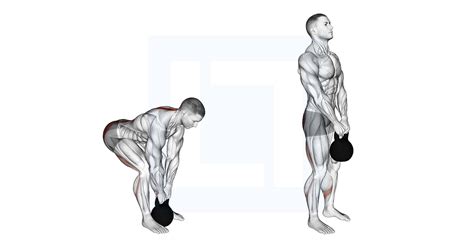 Kettlebell Romanian Deadlift Guide Benefits And Form