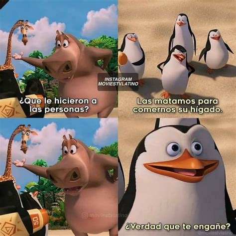 Madagascar Memes Para Reir Mejores Frases De Películas Memes Para
