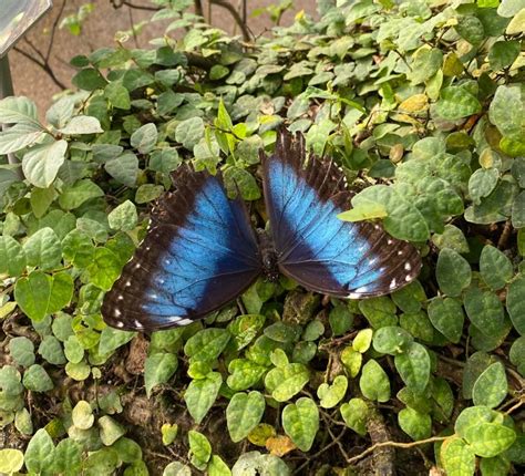 Exceljourney Métamorphoseprofessionnelle Données Apprentissagepratique Excelexpert Pierre