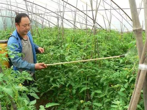 中国农技推广信息服务平台