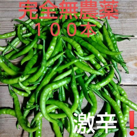 青唐辛子 黄金唐辛子 インドジンウソツカナイ 激辛唐辛子 7月22日15時収穫 メルカリ