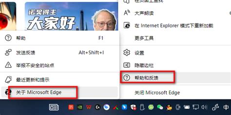 怎么查看电脑上的浏览器版本是多少 360新知