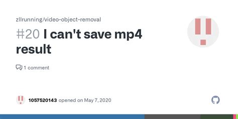 I Can T Save Mp4 Result Issue 20 Zllrunning Video Object Removal