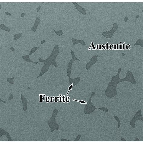 Sem Microstructure Of As Received Z3cn20 09m Cast Austenite Stainless