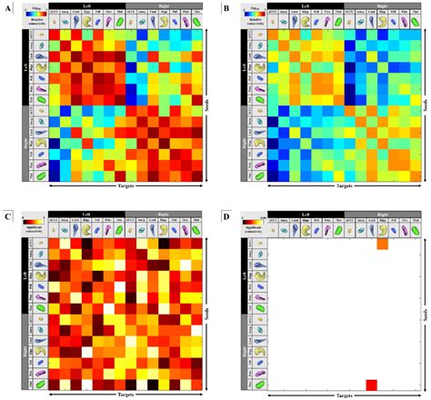 connectivity matrix map using dti analysis results control group