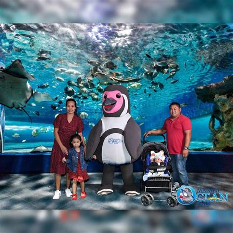 Deadline Extended‼️ Rmc 015 2025 Bir Excel Uploader Facebook