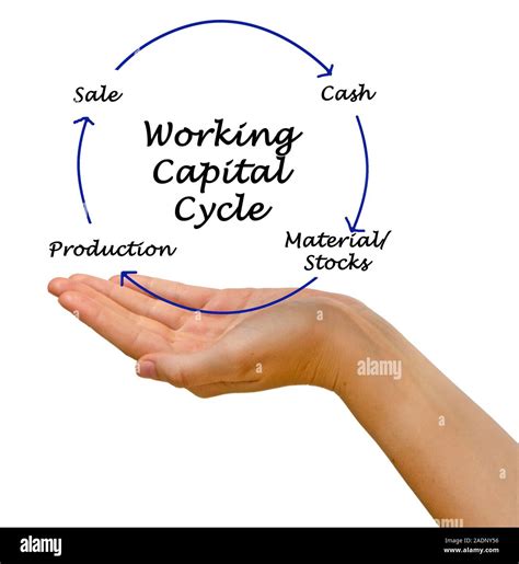 Working Capital Cycle Stock Photo Alamy