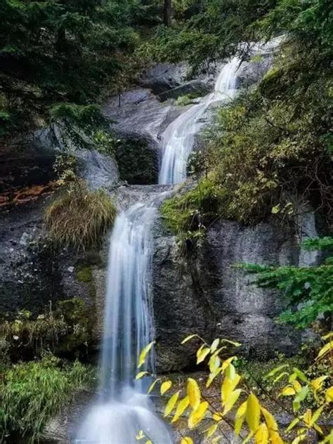 芦芽山风景名胜区 快懂百科