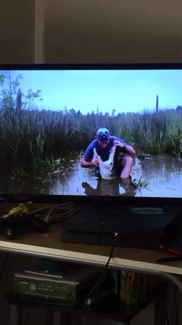 Gator Bite R Internetcity