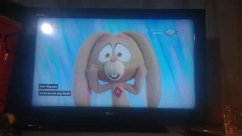 Sony Bravia Lcd Tv Startup And Shutdown Youtube