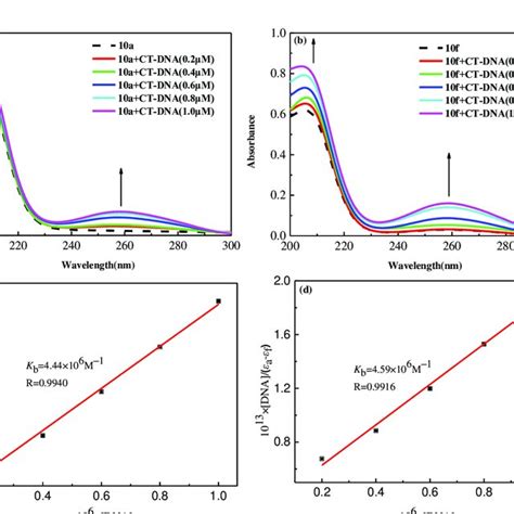 Uv Vis Absorption Spectra Of A 10a And B 10f In Tris Hcl Buffer Download Scientific Diagram