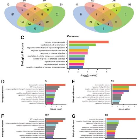 gene expression differences between mouse and human microglia