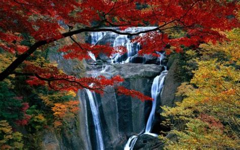 View Of Waterfalls From Rock Between Foliage Trees 4k Hd Nature