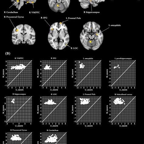 Brain Regions Whose Gmvs Predicted Pa In Multivariate Analysis Download Scientific Diagram