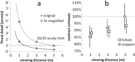 A Video Pixel Separation For Original Resolution And Magni Fi Ed Download Scientific Diagram
