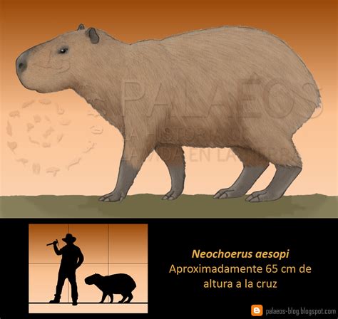 Palaeos La Historia De La Vida En La Tierra Mayo 2017