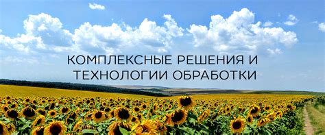 Эксойл групп ( Exoil group)- международный холдинг