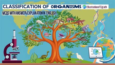 Classification Of Organisms Gk Mcqs With Answer And Explanation In English