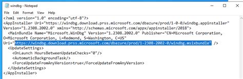 How To Install WinDBG Preview Windows Store Version On Windows Server Porotnikov
