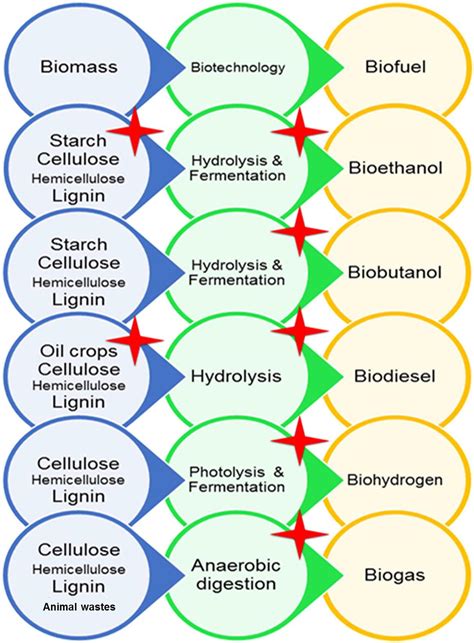 Halophiles Diagram